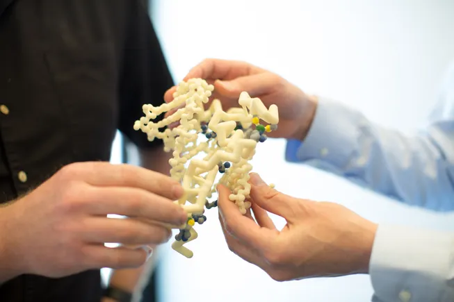 Sangamo has its finger on the next evolution of gene editing | PharmaVoice