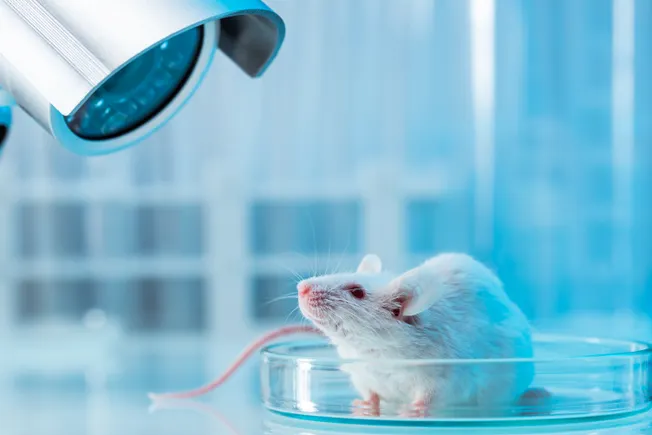 Mouse vs. machine: Using AI to solve the animal testing model in pharma ...