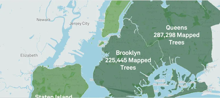 Interactive NYC tree map aims to help residents care for urban forest ...