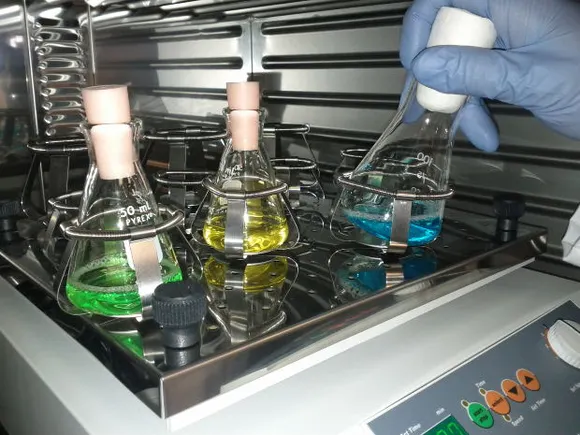 Roche expands manufacturing capacity as biologics revenues grow ...