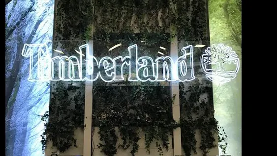 Timberland pledges sustainable materials sourcing, circularity by 2030 ...