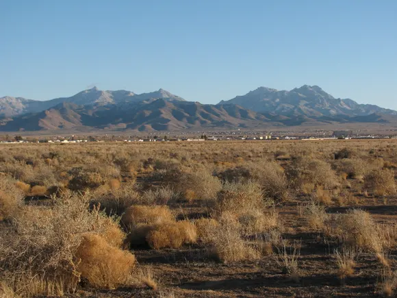 Salt River Project signs PPA for 20 MW solar+storage project | Utility Dive