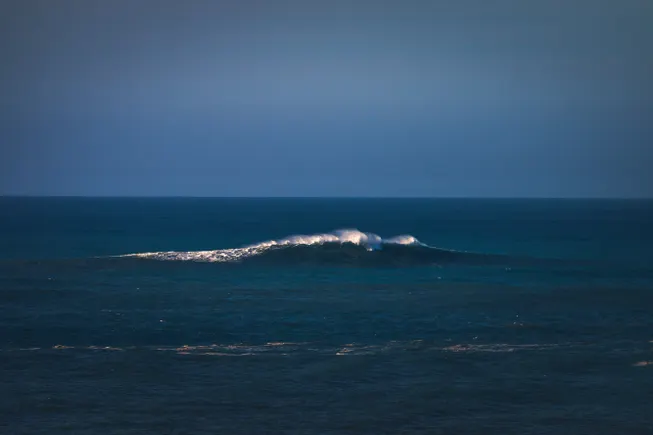 Belharra debuts with $130M in funding, Genentech partnership ...