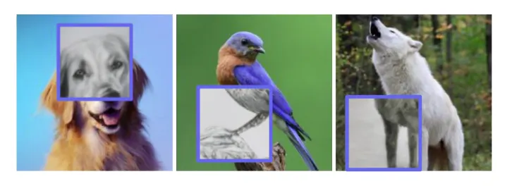 Meta Shares New Generative Ai Paper Which Looks At Its Advancing