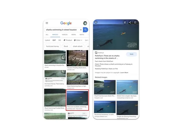 Google Adds New Fact Check Labels to Google Image Search Results ...