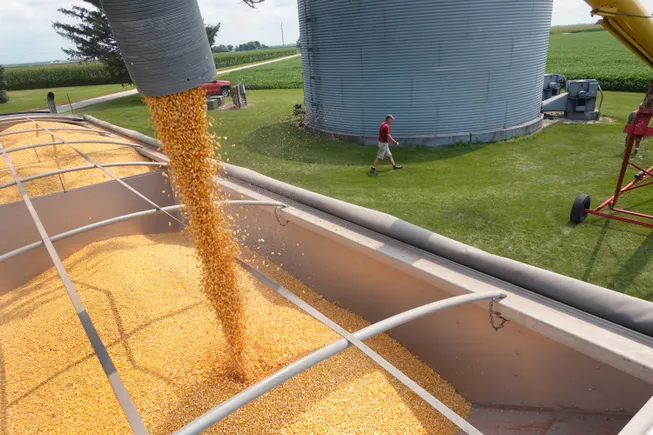 US ramps up trade dispute with Mexico over genetically modified corn ...