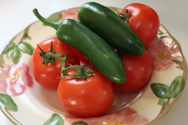 Spicy tomato could heat up demand for the beloved fruit | Food Dive