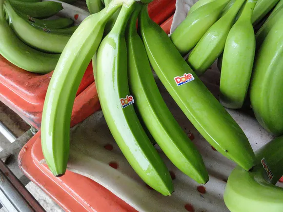 Dole receives unsolicited offer from CEO | Food Dive