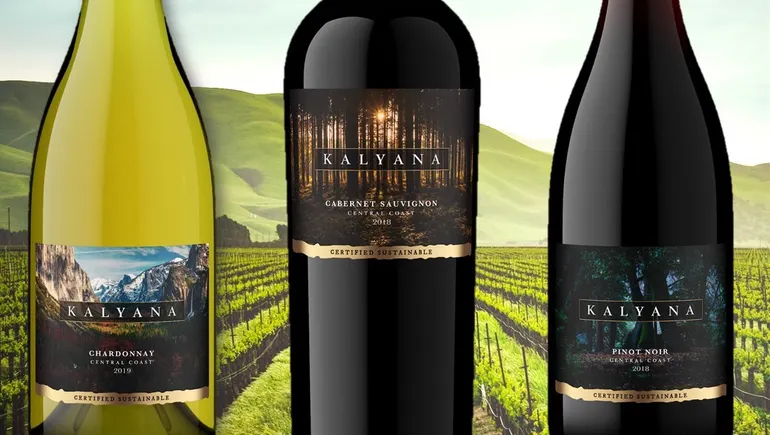 Albertsons adds sustainable wines to private brands portfolio | Grocery ...