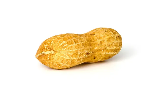 Thermo Fisher expands peanut allergy test menu | MedTech Dive