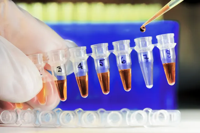 Spark teams up with Selecta on gene therapies | BioPharma Dive