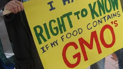 Where GMO legislation stands today: 3 notable debates | Food Dive