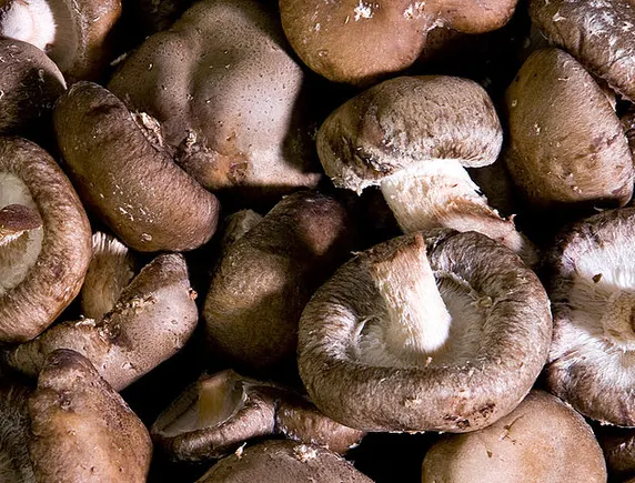 4 ingredients facing shortages amid the pandemic | Food Dive