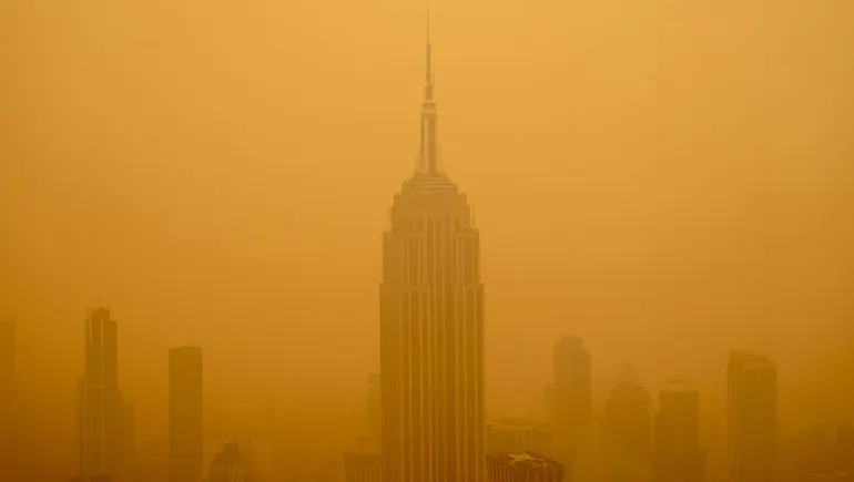 Central bank climate coalition releases near-term scenario planning ...
