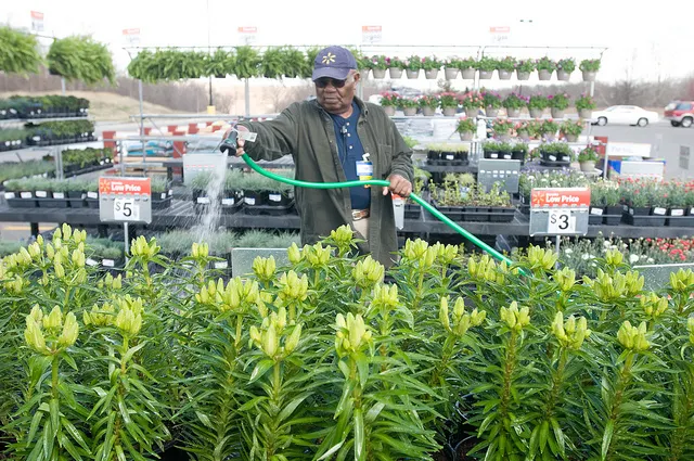 Walmart-Mother Nature Network partnership to endorse sustainability ...