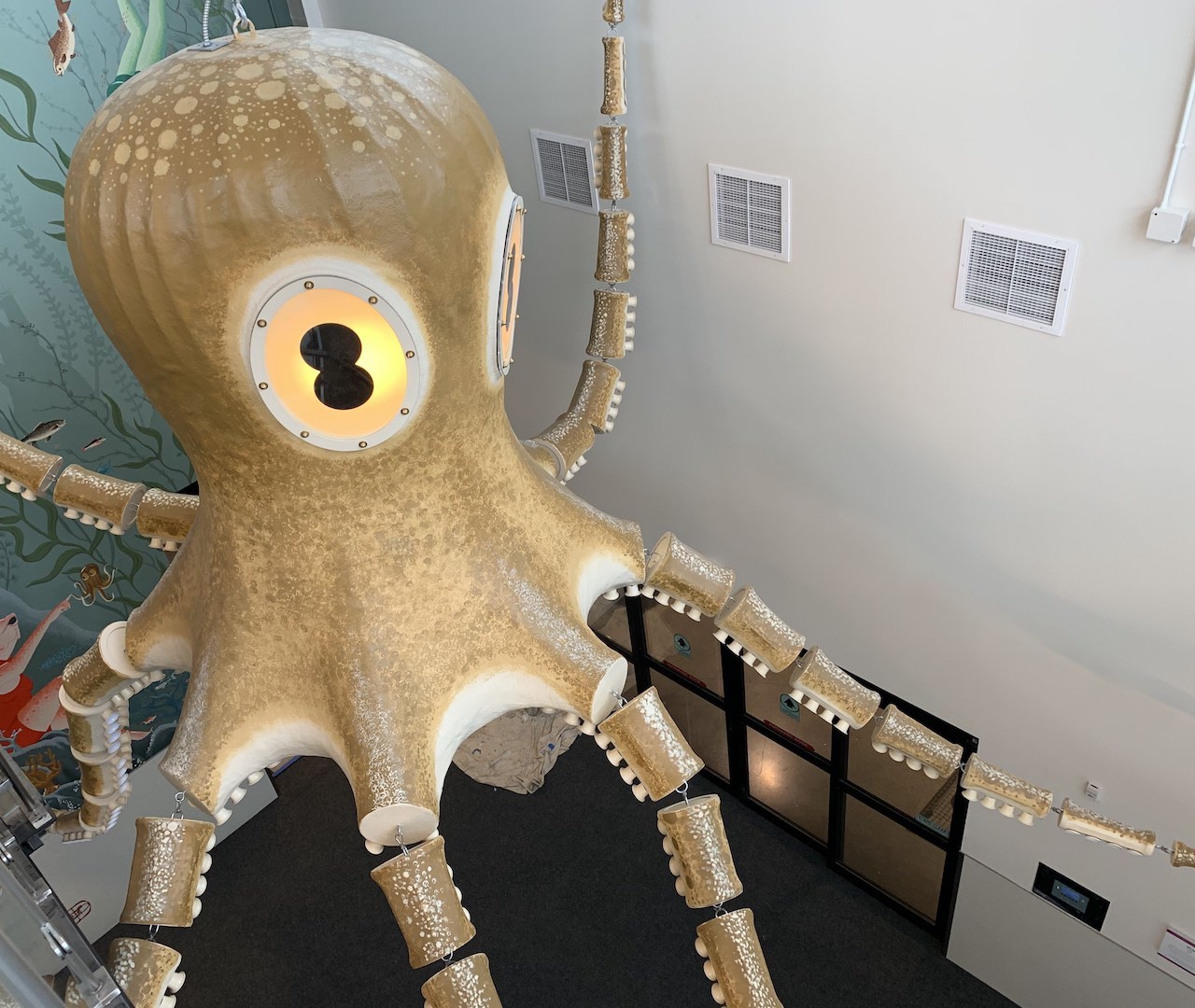 Inside the store: PCC's new uptown market | Grocery Dive