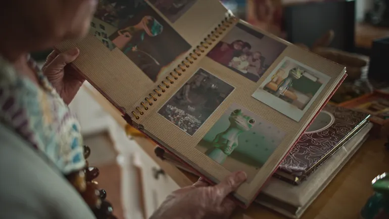 Geico drops mockumentary on rise of Gecko mascot ahead of Super Bowl ...
