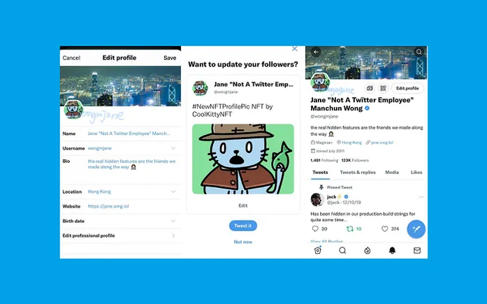 Twitter's Coming NFT Profile Images will be Displayed in a Different ...