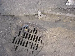 Sewer fats to fuel waste-to-energy plant in London | Waste Dive