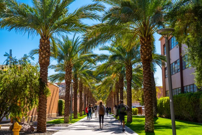 Arizona State University launches IT apprenticeship | HR Dive