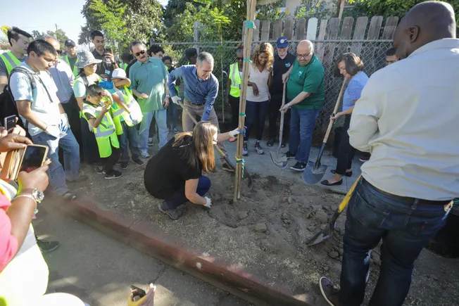 Los Angeles creates street tree inventory, kicks off planting season ...