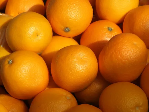 Paramount Citrus to spend $20 million on Wonderful Halos brand | Food Dive