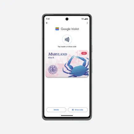 Google aims to bulk up wallet | Payments Dive