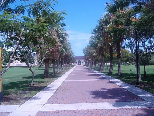 Why was 'Jesus-stomping' professor put on leave? | Higher Ed Dive