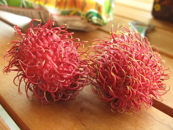10 strange fruits that delight mouths and send customers running | Food ...