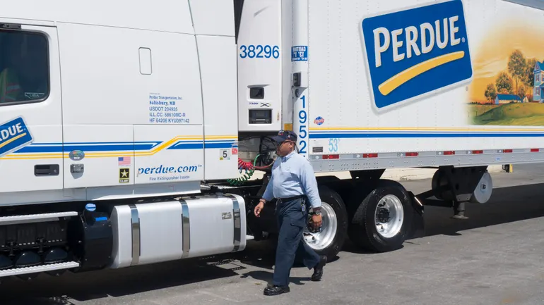 Perdue Farms is the latest company to target plant-based meat ...