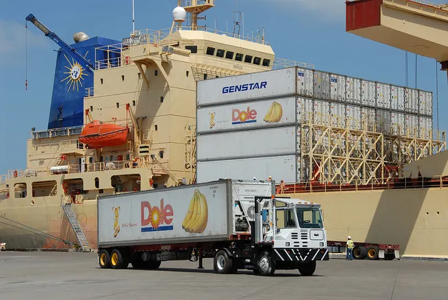 Dole agrees to stay in Port of Gulfport | Food Dive