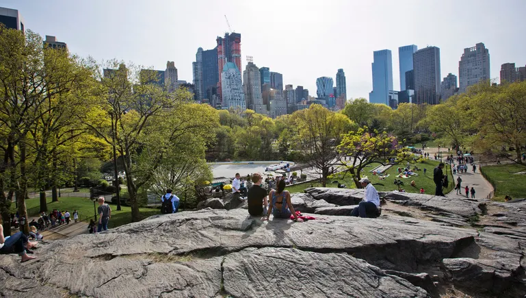 Gov. Cuomo signs NYC design-build legislation | Construction Dive