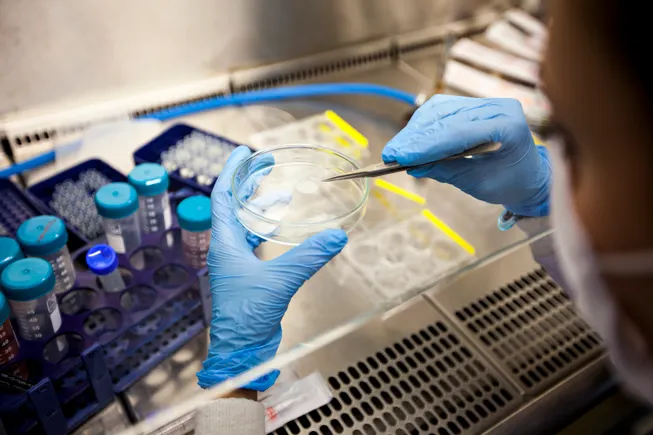 FDA approves Merck's Ebola vaccine, a historic first against deadly ...