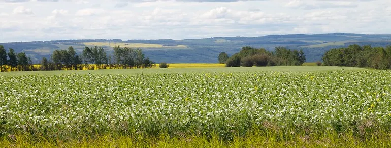 The food industry is not recognized for sustainability. How can we fix ...