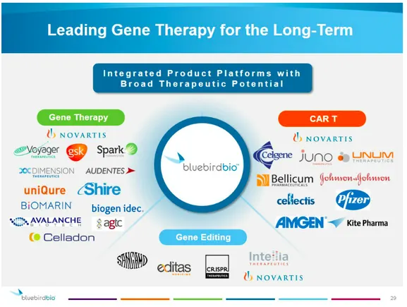 Why biotech darling Bluebird crashed on Thursday despite solid gene ...
