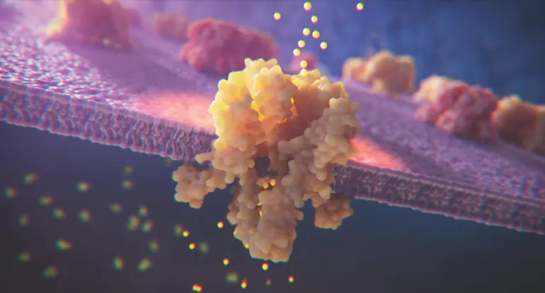 These microscopic tunnels are a goldmine for new medicines | BioPharma Dive