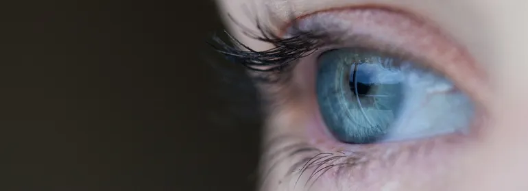 Eye tracking study shows recruiters look at resumes for 7 seconds | HR Dive