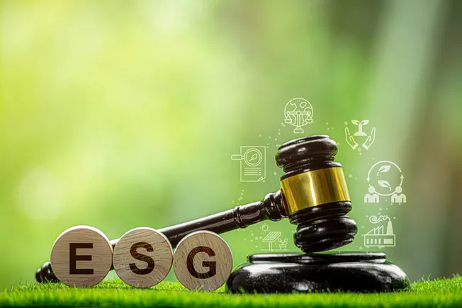 ESG tops in-house counsel litigation concerns | ESG Dive