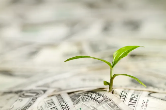 Climate-conscious neobank Aspiration names new CEO | Banking Dive