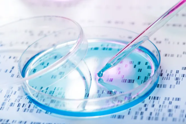 Viral vector design for gene therapies | BioPharma Dive