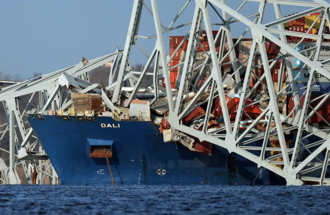 Forwarders share insights on navigating the Baltimore bridge collapse ...