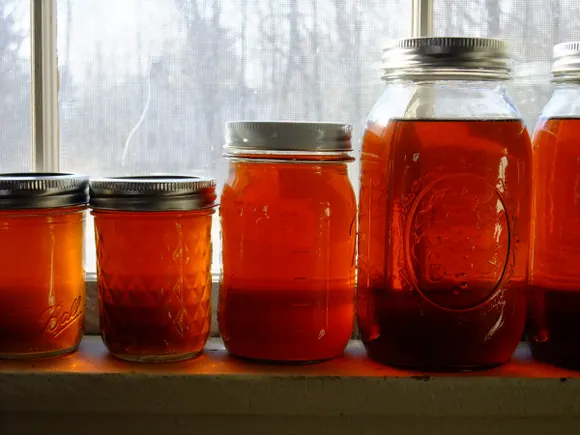 How new research is changing what we know about maple syrup production ...