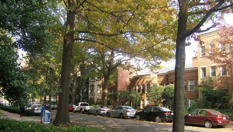 DC to kick off federal census of its urban forest | Smart Cities Dive