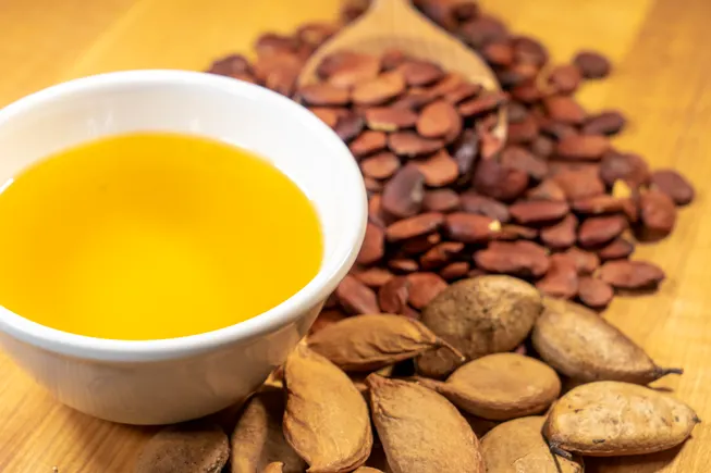 Danone partners with upstart to create food derived from the pongamia ...