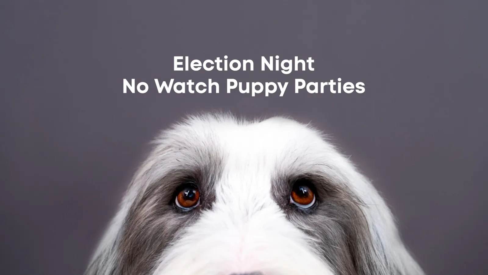 Brands lean into fractious election with messages of unity and humor ...