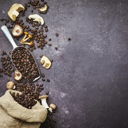 The ‘shroom boom’ is here but it’s complicated | Food Dive