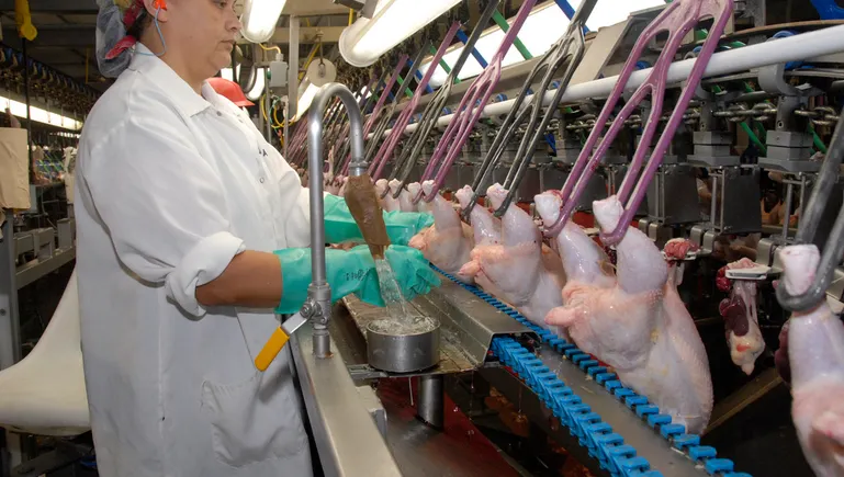 Tyson sees double-digit inventory accuracy improvement from computer ...