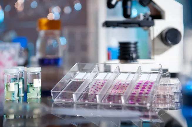 FDA-industry group touts real-world evidence framework to speed test ...