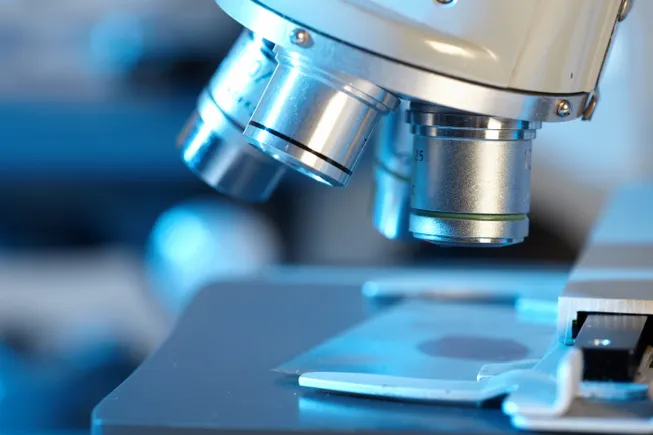 Chromocell CEO: Natural taste modulator niche will continue to grow ...