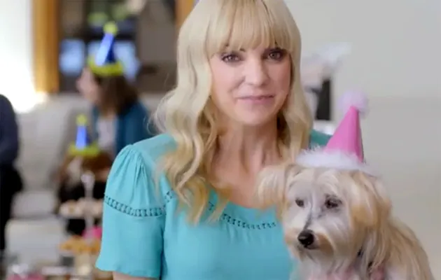 New Petsmart campaign emphasizes 'Pethood' | Retail Dive